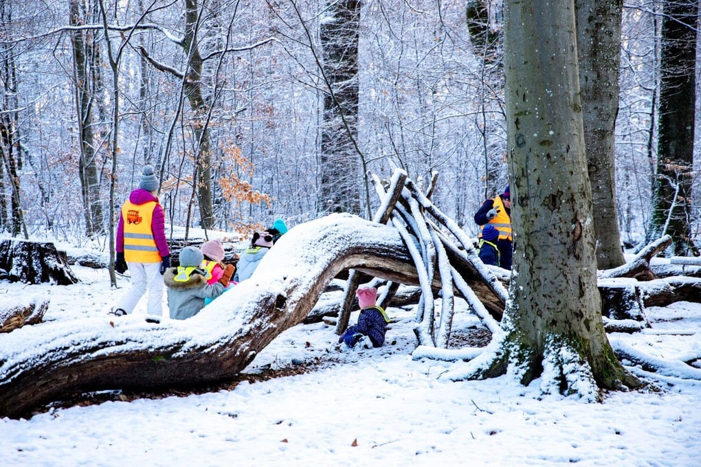 ISL Achieves Highest Forest School Accreditation in Early Childhood