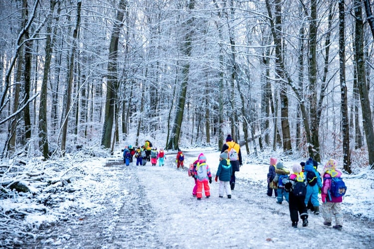 ISL Achieves Highest Forest School Accreditation in Early Childhood